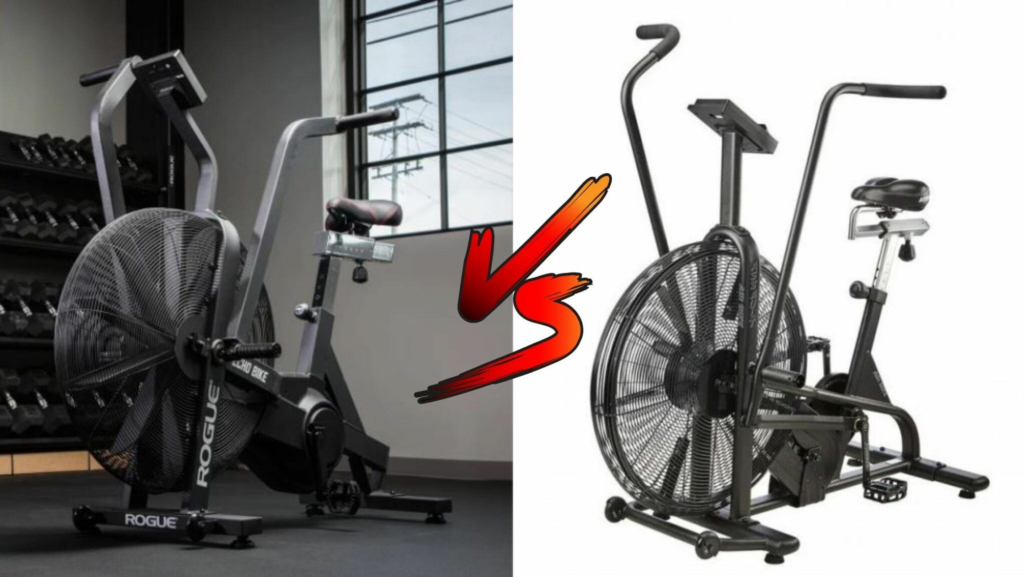 Assault Bike Vs Echo Bike